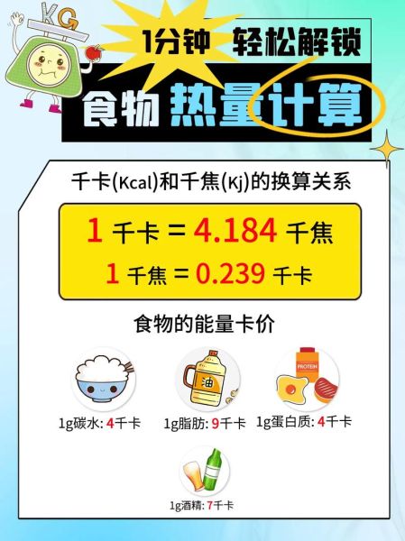 食物卡路里计算app哪个好_如何精准记录每日热量-第1张图片-山城妙识