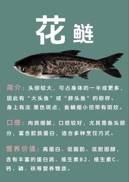花鲢图片大全_如何挑选鲜活花鲢-第1张图片-山城妙识