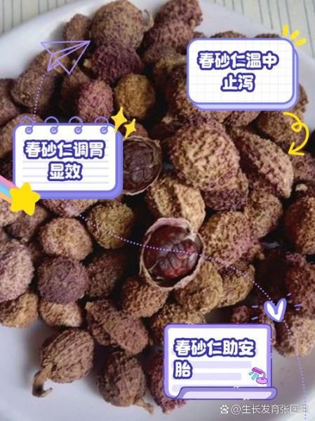 砂仁图片及功效与作用_砂仁怎么吃效果最好-第1张图片-山城妙识