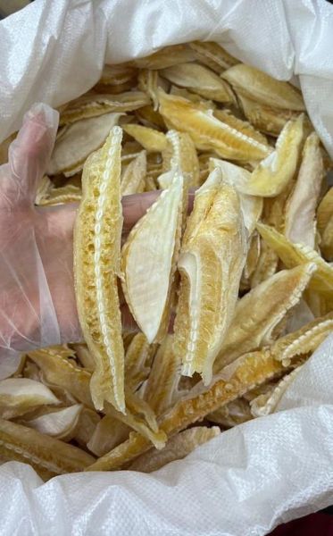 真鱼翅价格多少一斤_真鱼翅多少钱一斤-第2张图片-山城妙识