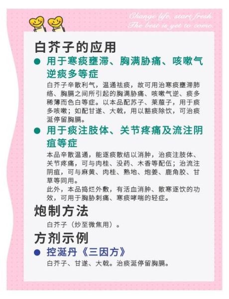 白芥子功效与作用_白芥子禁忌有哪些-第2张图片-山城妙识