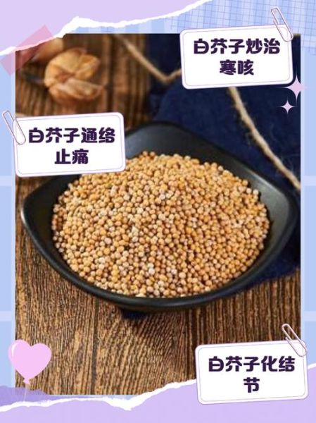 白芥子功效与作用_白芥子禁忌有哪些-第3张图片-山城妙识