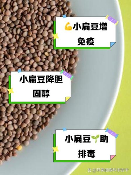 小扁豆的功效与作用_小扁豆的禁忌人群-第1张图片-山城妙识 小扁豆的功效与作用_小扁豆的禁忌人群-第1张图片-山城妙识
