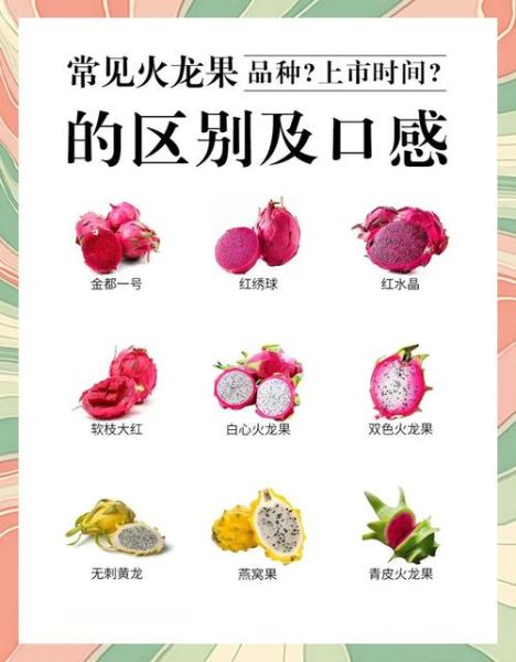 火龙果上火还是降火_吃火龙果会不会上火-第2张图片-山城妙识 火龙果上火还是降火_吃火龙果会不会上火-第2张图片-山城妙识