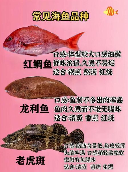 海鱼怎么挑选_海鲜市场常见海鱼有哪些-第3张图片-山城妙识 海鱼怎么挑选_海鲜市场常见海鱼有哪些-第3张图片-山城妙识