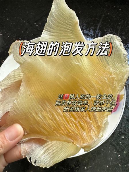 干鱼翅怎么泡发_干鱼翅泡发多久才软-第3张图片-山城妙识 干鱼翅怎么泡发_干鱼翅泡发多久才软-第3张图片-山城妙识