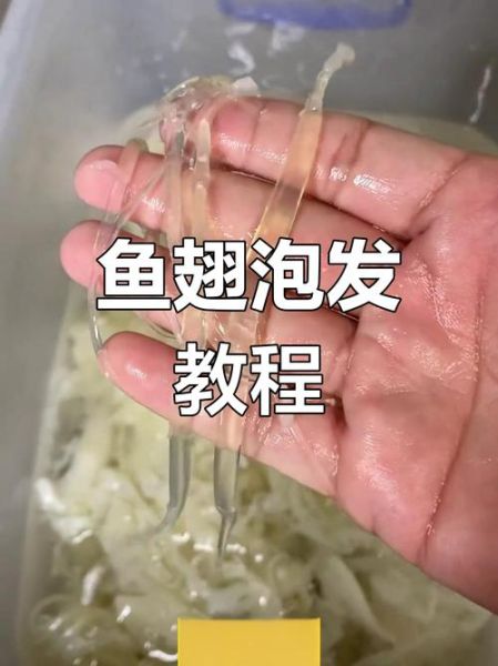干鱼翅怎么泡发_干鱼翅泡发多久才软-第2张图片-山城妙识 干鱼翅怎么泡发_干鱼翅泡发多久才软-第2张图片-山城妙识