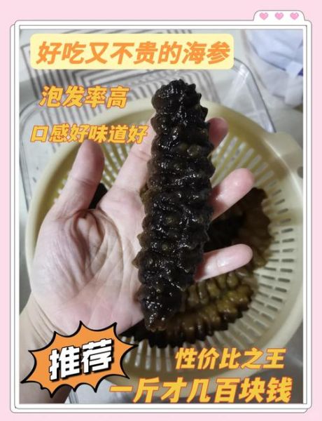 海参的价格_海参多少钱一斤-第3张图片-山城妙识