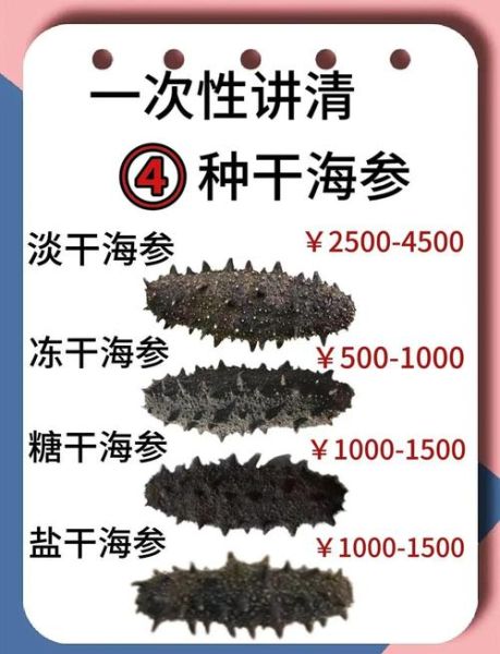 海参的价格_海参多少钱一斤-第1张图片-山城妙识