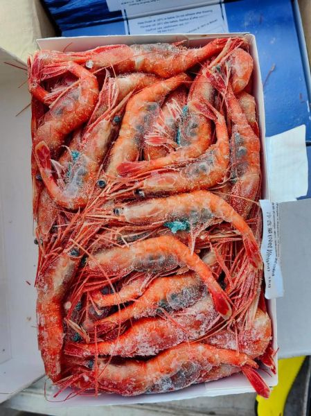 甜虾是生的还是熟的_甜虾刺身安全吗-第1张图片-山城妙识 甜虾是生的还是熟的_甜虾刺身安全吗-第1张图片-山城妙识