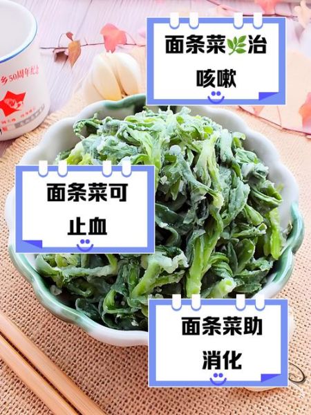 面条菜的营养价值_面条菜的功效与作用-第1张图片-山城妙识