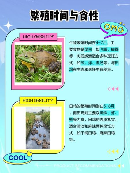 田鸡和牛蛙的区别_田鸡是不是牛蛙-第2张图片-山城妙识 田鸡和牛蛙的区别_田鸡是不是牛蛙-第2张图片-山城妙识