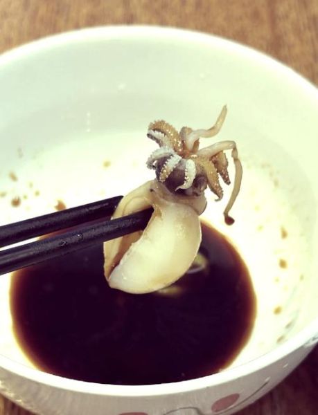 清蒸乌贼鱼怎么做_清蒸乌贼鱼的做法大全-第1张图片-山城妙识 清蒸乌贼鱼怎么做_清蒸乌贼鱼的做法大全-第1张图片-山城妙识