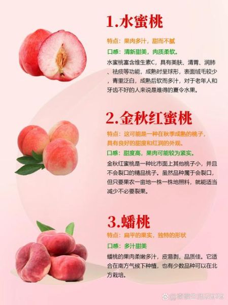 孕妇可以吃水蜜桃吗_怀孕吃水蜜桃注意事项-第2张图片-山城妙识