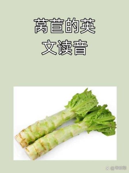 lettuce怎么读_lettuce发音技巧-第1张图片-山城妙识