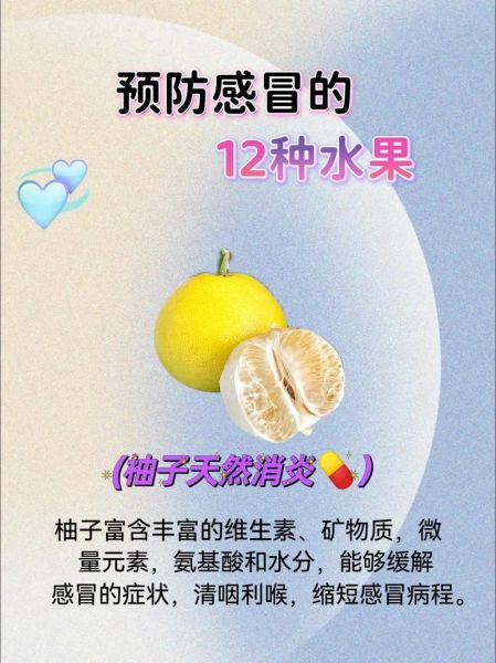 很容易感冒吃什么提高免疫力_免疫力低下吃什么好-第1张图片-山城妙识 很容易感冒吃什么提高免疫力_免疫力低下吃什么好-第1张图片-山城妙识