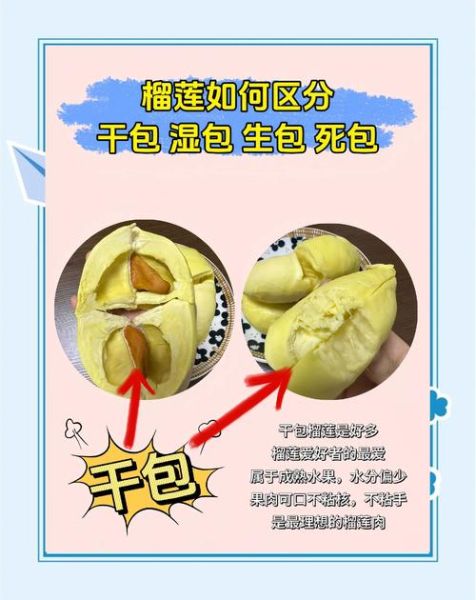 榴莲皮晒干有什么效果_榴莲皮晒干怎么用-第2张图片-山城妙识