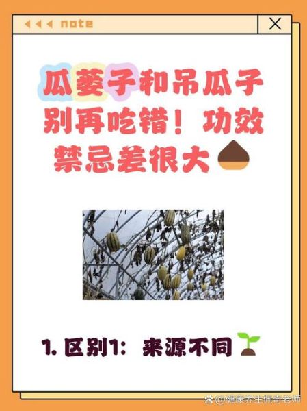 吊瓜子是什么瓜的果实_吊瓜子和瓜蒌子区别-第1张图片-山城妙识 吊瓜子是什么瓜的果实_吊瓜子和瓜蒌子区别-第1张图片-山城妙识