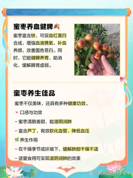 蜜枣的功效与作用_蜜枣怎么吃最养气血-第1张图片-山城妙识 蜜枣的功效与作用_蜜枣怎么吃最养气血-第1张图片-山城妙识