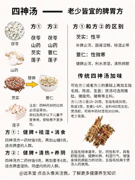 药膳汤有哪些药材_适合四季的配方-第3张图片-山城妙识