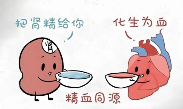 头发稀少怎么补救_头发稀少用什么药效果好-第1张图片-山城妙识 头发稀少怎么补救_头发稀少用什么药效果好-第1张图片-山城妙识