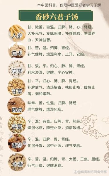 六君子汤加减治百病_真的有用吗-第1张图片-山城妙识 六君子汤加减治百病_真的有用吗-第1张图片-山城妙识