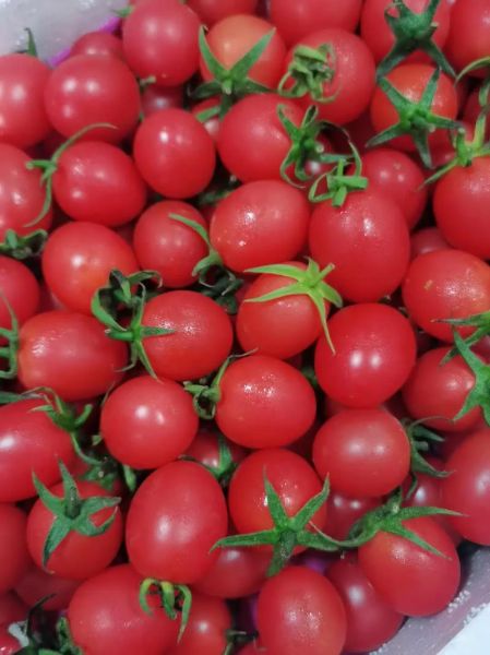 万圣节吃什么水果_万圣节水果推荐-第1张图片-山城妙识 万圣节吃什么水果_万圣节水果推荐-第1张图片-山城妙识