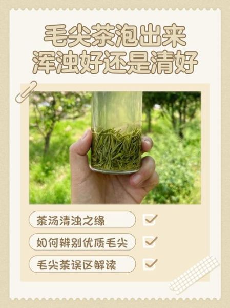 毛尖茶泡出来浑浊好还是清好_茶汤浑浊原因-第1张图片-山城妙识