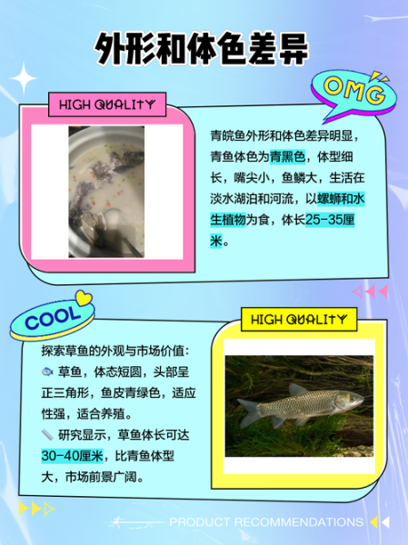 皖鱼是草鱼吗_皖鱼和草鱼区别-第1张图片-山城妙识 皖鱼是草鱼吗_皖鱼和草鱼区别-第1张图片-山城妙识