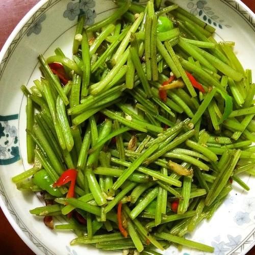 山芋藤怎么炒才好吃_山芋藤炒之前要不要焯水-第3张图片-山城妙识 山芋藤怎么炒才好吃_山芋藤炒之前要不要焯水-第3张图片-山城妙识