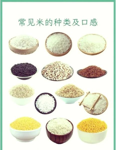 梗米和粳米是一种米吗_粳米与梗米区别-第2张图片-山城妙识