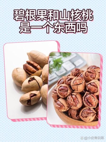 碧根果的功效与作用和核桃一样吗_区别与选购指南-第1张图片-山城妙识 碧根果的功效与作用和核桃一样吗_区别与选购指南-第1张图片-山城妙识