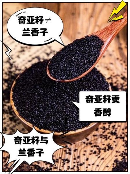 兰香子能减肥吗_兰香子有哪些禁忌-第3张图片-山城妙识