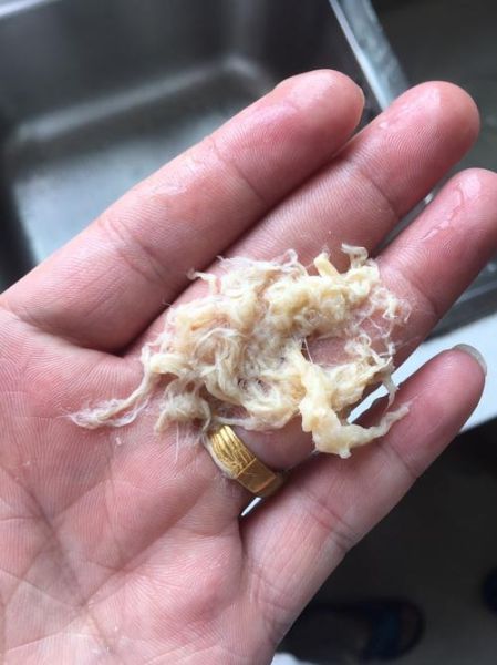 肉松洗完像棉花_肉松真假怎么辨别-第2张图片-山城妙识 肉松洗完像棉花_肉松真假怎么辨别-第2张图片-山城妙识