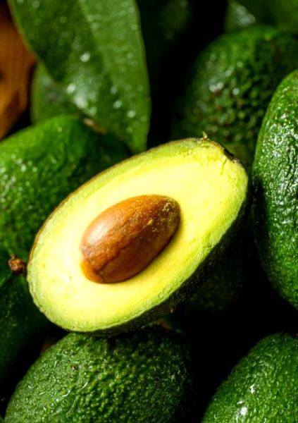 酪梨和牛油果的区别_哪个更好吃-第3张图片-山城妙识 酪梨和牛油果的区别_哪个更好吃-第3张图片-山城妙识