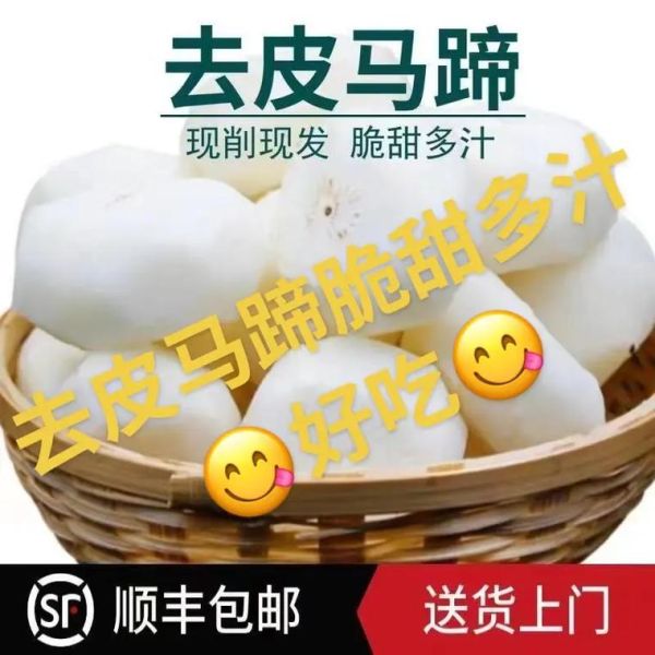 马蹄荸荠怎么去皮_马蹄荸荠和荸荠区别-第2张图片-山城妙识 马蹄荸荠怎么去皮_马蹄荸荠和荸荠区别-第2张图片-山城妙识