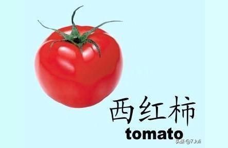 西红柿用英语怎么说_tomato复数形式怎么写-第1张图片-山城妙识 西红柿用英语怎么说_tomato复数形式怎么写-第1张图片-山城妙识