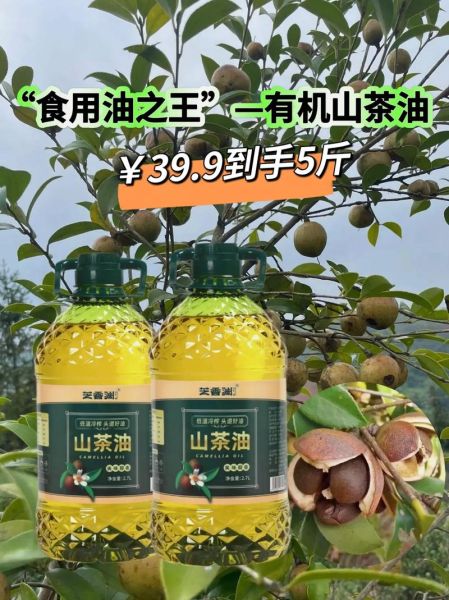 山茶油哪个牌子的正宗_正宗山茶油品牌推荐-第1张图片-山城妙识 山茶油哪个牌子的正宗_正宗山茶油品牌推荐-第1张图片-山城妙识