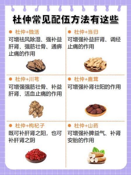 杜仲的副作用有哪些_杜仲禁忌人群有哪些-第2张图片-山城妙识 杜仲的副作用有哪些_杜仲禁忌人群有哪些-第2张图片-山城妙识