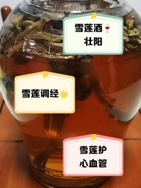 雪莲泡酒的最佳配方_雪莲泡酒有什么功效-第2张图片-山城妙识