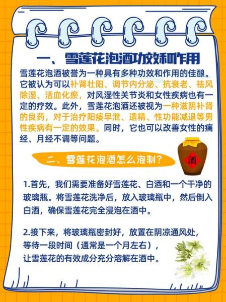 雪莲泡酒的最佳配方_雪莲泡酒有什么功效-第1张图片-山城妙识