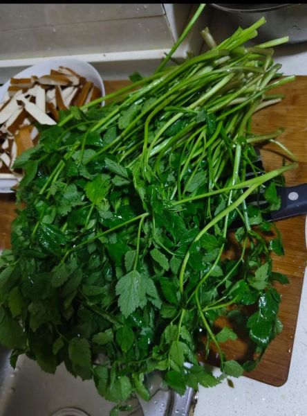 野生芹菜怎么做好吃_野生芹菜的做法大全-第1张图片-山城妙识 野生芹菜怎么做好吃_野生芹菜的做法大全-第1张图片-山城妙识