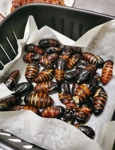 油炸蚕蛹的家常做法_蚕蛹怎么炸才酥脆-第2张图片-山城妙识 油炸蚕蛹的家常做法_蚕蛹怎么炸才酥脆-第2张图片-山城妙识