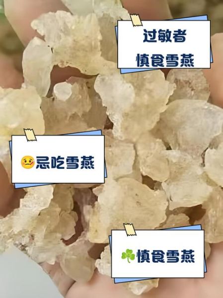 雪燕哪些人不宜吃_雪燕禁忌人群有哪些-第2张图片-山城妙识 雪燕哪些人不宜吃_雪燕禁忌人群有哪些-第2张图片-山城妙识