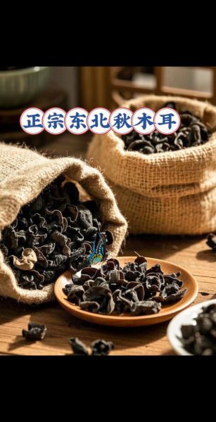 东北秋木耳多少钱一斤_东北秋木耳价格行情-第1张图片-山城妙识 东北秋木耳多少钱一斤_东北秋木耳价格行情-第1张图片-山城妙识
