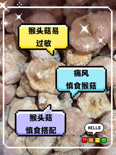 猴头菇的功效与禁忌_哪些人不能吃-第3张图片-山城妙识 猴头菇的功效与禁忌_哪些人不能吃-第3张图片-山城妙识