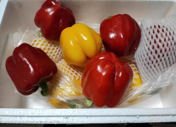 彩椒怎么保存_彩椒可以生吃吗-第2张图片-山城妙识 彩椒怎么保存_彩椒可以生吃吗-第2张图片-山城妙识