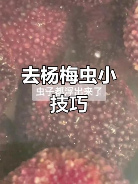 杨梅里的虫子吃了会怎么样_杨梅虫吃进肚子怎么办-第1张图片-山城妙识 杨梅里的虫子吃了会怎么样_杨梅虫吃进肚子怎么办-第1张图片-山城妙识