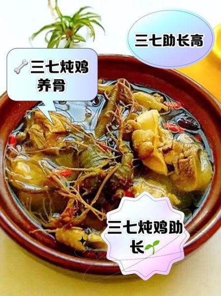 田七炖鸡的功效与作用_孕妇可以吃田七炖鸡吗-第2张图片-山城妙识