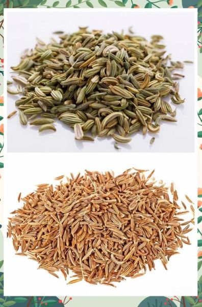 小茴香和孜然一样吗_区别与用途-第3张图片-山城妙识